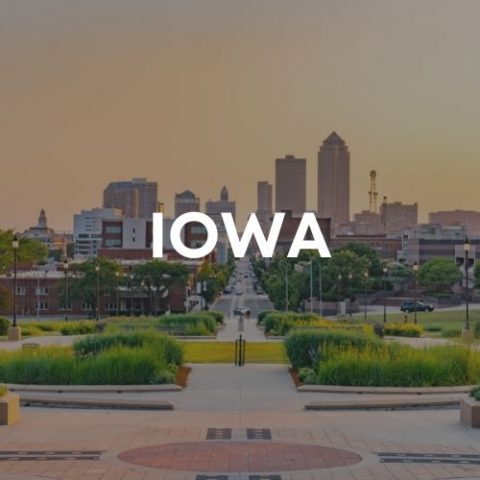 Affordable Yard Game + NERF Rentals | Triangle Lawn Games